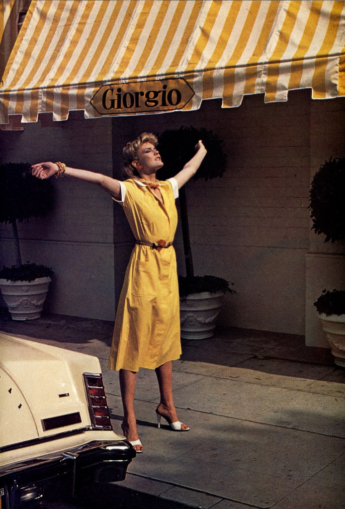 Swanky Modes – Liz Eggleston