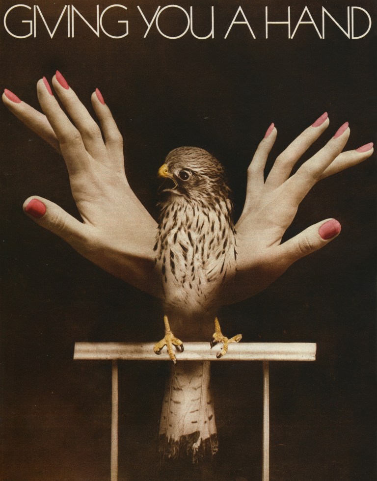 james wedge – Liz Eggleston