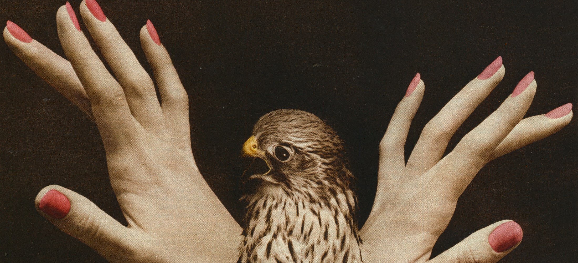 james wedge – Liz Eggleston