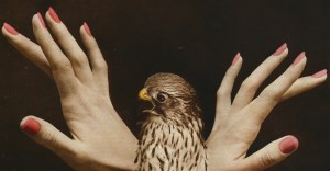 james wedge – Liz Eggleston